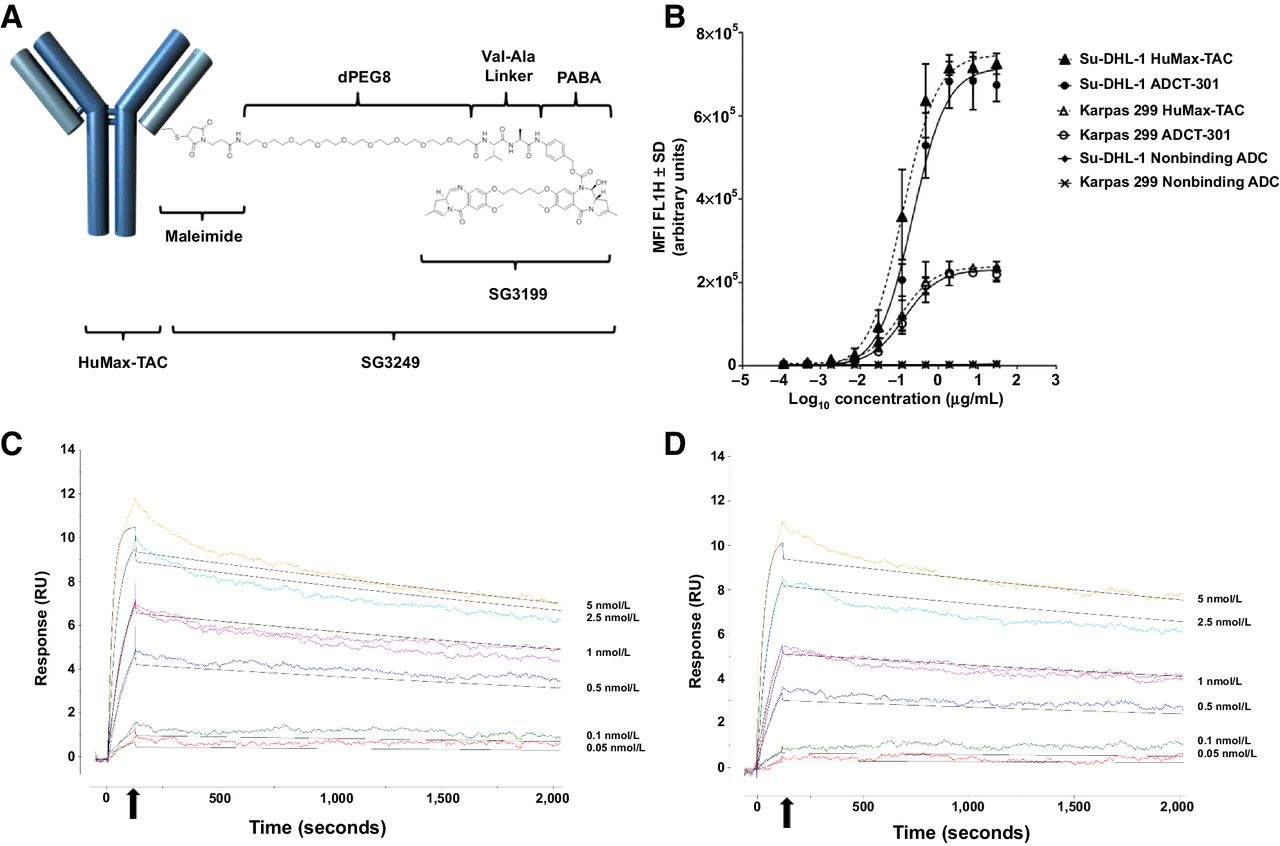 ADCT-301靶向表达CD25的血液恶性肿瘤,Molecular Cancer Therapeutics - X-MOL