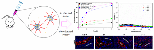 Biocompatible Polymer Nanoformulation To Improve the Release and Safety ...