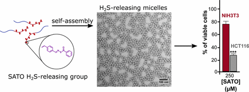 H2S-Releasing Polymer Micelles for Studying Selective Cell Toxicity ...