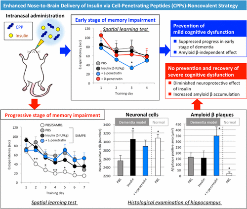 Effect of an Enhanced Nose-to-Brain Delivery of Insulin on Mild and ...