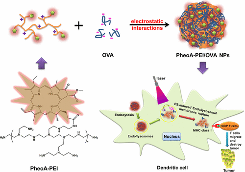 A Light Responsive Nanoparticle-Based Delivery System Using ...