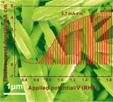 Synergistic crystal facet engineering and structural control of WO3 ...