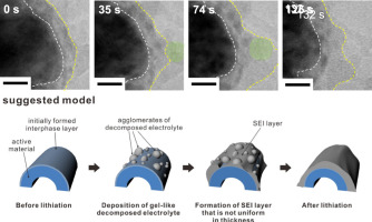 Growth Dynamics of Solid Electrolyte Interphase Layer on SnO2 Nanotubes ...