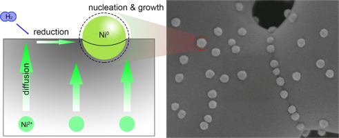 From material design to mechanism study: Nanoscale Ni exsolution on a ...