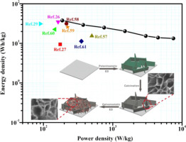 FullSynergistic Contribution of Electrodeposited Three-dimensional ...