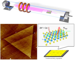 Activating basal-plane catalytic activity of two-dimensional MoS2 ...