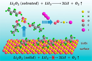 Promoting Li2O2 oxidation via solvent-assisted redox shuttle process ...