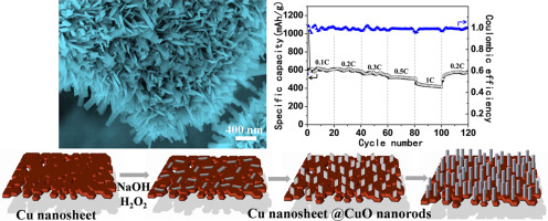 Controlled synthesis of hierarchical Cu nanosheets @ CuO nanorods as ...