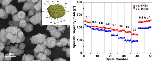 新型层状堆叠式VS2纳米片，具有插入式伪电容，可用于高速钠离子电荷存储,Nano Energy - X-MOL