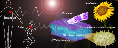 High-Performance, Flexible Electronic Skin Sensor Incorporating Natural ...