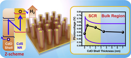 The formation of Z-scheme CdS/CdO nanorods on FTO substrates: The shell ...