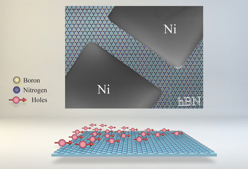 Space-Charge Limited Transport in Large-Area Monolayer Hexagonal Boron ...