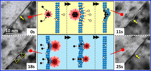 In Situ Study of Defect Migration Kinetics and Self-Healing of Twin ...