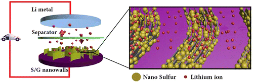Vertically Aligned Sulfur–Graphene Nanowalls on Substrates for ...