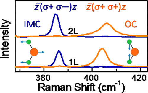 Helicity-Resolved Raman Scattering of MoS2, MoSe2, WS2, and WSe2 Atomic ...