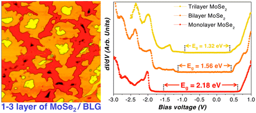 Probing the Role of Interlayer Coupling and Coulomb Interactions on ...