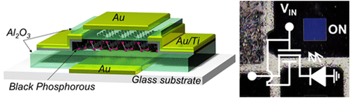 Dual Gate Black Phosphorus Field Effect Transistors on Glass for NOR ...