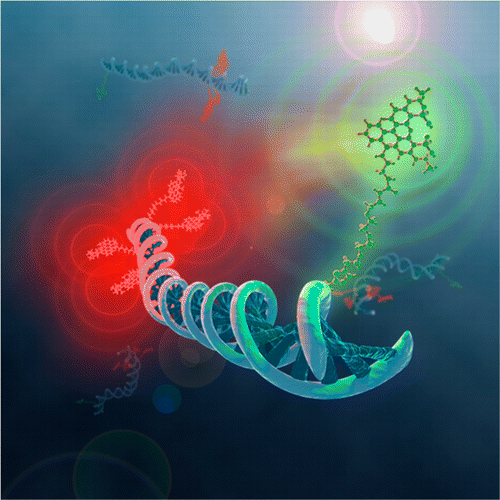 farFRET: Extending the Range in Single-Molecule FRET Experiments beyond 10 nm,Nano Letters - X-MOL