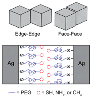 Computationally Guided Assembly of Oriented Nanocubes by Modulating ...