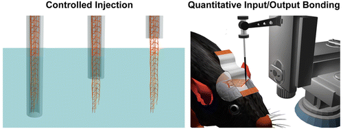 Syringe Injectable Electronics: Precise Targeted Delivery with ...