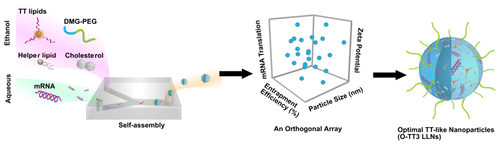 An Orthogonal Array Optimization of Lipid-like Nanoparticles for mRNA ...