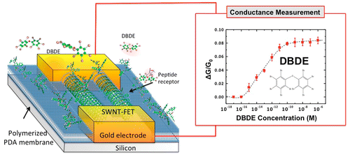 通过噬菌体展示发现的识别肽对阻燃化学品的选择性和敏感传感,Nano Letters - X-MOL