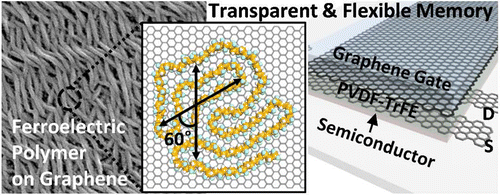 Epitaxial Growth of Thin Ferroelectric Polymer Films on Graphene Layer ...