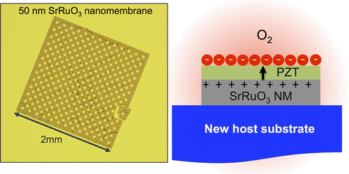 Single-Crystalline SrRuO3 Nanomembranes: A Platform for Flexible Oxide ...
