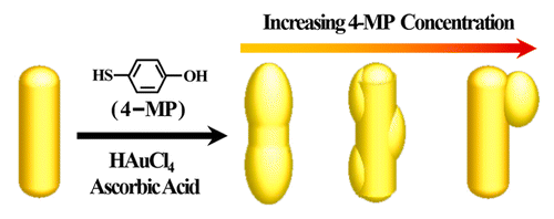 Unravelling Thiol’s Role in Directing Asymmetric Growth of Au Nanorod ...