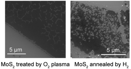 Defects Engineered Monolayer MoS2 for Improved Hydrogen Evolution ...