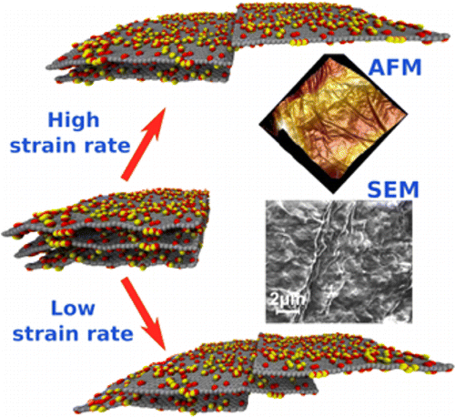 Strain Rate Dependent Shear Plasticity in Graphite Oxide,Nano Letters ...