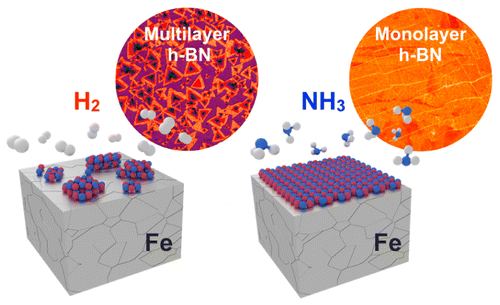 Controlling Catalyst Bulk Reservoir Effects for Monolayer Hexagonal ...