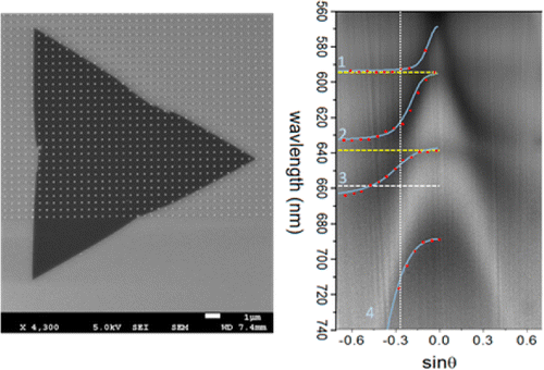 Strong Exciton–Plasmon Coupling in MoS2 Coupled with Plasmonic Lattice ...