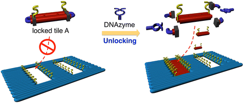 DNAzyme-Based Logic Gate-Mediated DNA Self-Assembly,Nano Letters - X-MOL