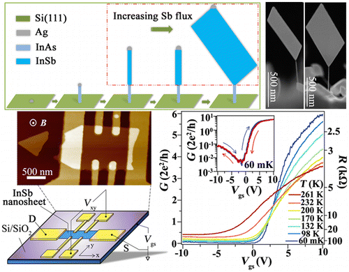 Free-Standing Two-Dimensional Single-Crystalline InSb Nanosheets,Nano ...