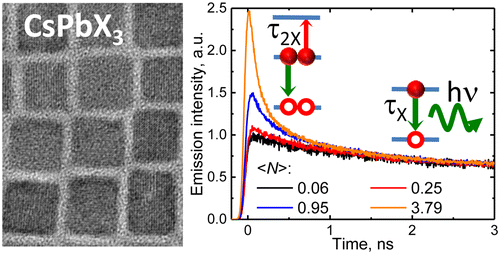 Spectral and Dynamical Properties of Single Excitons, Biexcitons, and ...