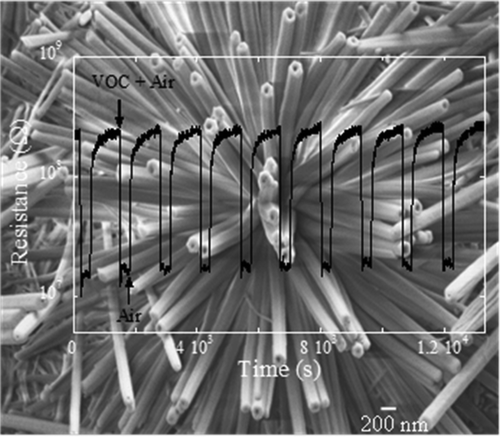 Rapid Growth of Zinc Oxide Nanotube–Nanowire Hybrid Architectures and Their Use in Breast Cancer ...