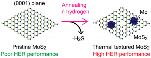 General Thermal Texturization Process of MoS2 for Efficient ...