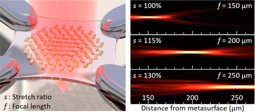 Tunable Metasurface and Flat Optical Zoom Lens on a Stretchable ...