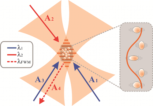 水中纳米粒子的太赫兹共振阈值,Nano Letters - X-MOL