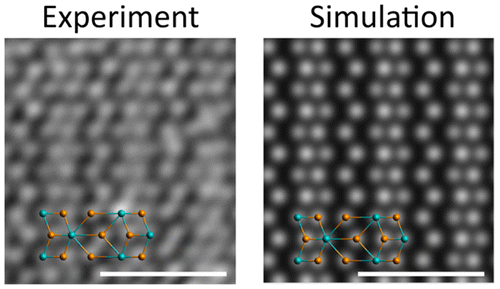 化学气相沉积生长的单层单晶1T'-MoTe 2具有 弱的抗局部化作用,Nano Letters - X-MOL