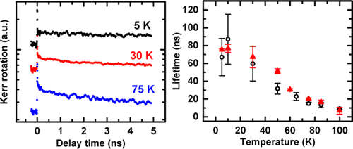 Long-Lived Hole Spin/Valley Polarization Probed by Kerr Rotation in ...