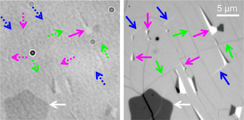 Direct Optical Visualization of Graphene and Its Nanoscale Defects on ...