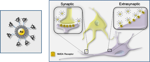 Nanostructured Antagonist of Extrasynaptic NMDA Receptors,Nano Letters ...