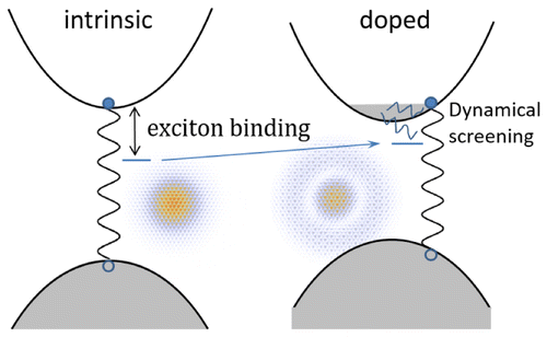 Dynamical Excitonic Effects in Doped Two-Dimensional Semiconductors ...