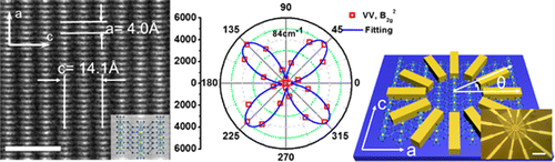 Observation of Optical and Electrical In-Plane Anisotropy in High ...