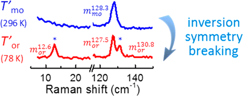 Activation of New Raman Modes by Inversion Symmetry Breaking in Type II ...