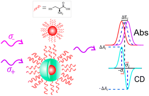 Probing the Interaction of Quantum Dots with Chiral Capping Molecules ...