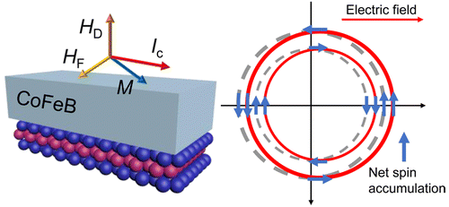 Strong Rashba-Edelstein Effect-Induced Spin–Orbit Torques in Monolayer ...