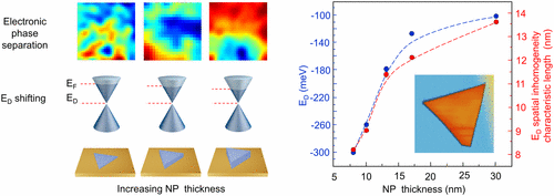 Phase Separation of Dirac Electrons in Topological Insulators at the ...